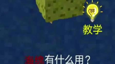 MC我的世界: 海绵有什么用你知道吗? 视频教学