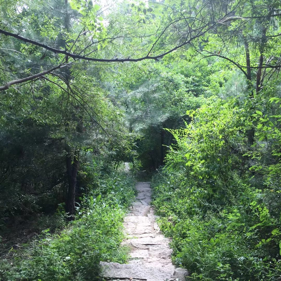 锦山广场一块砖儿 