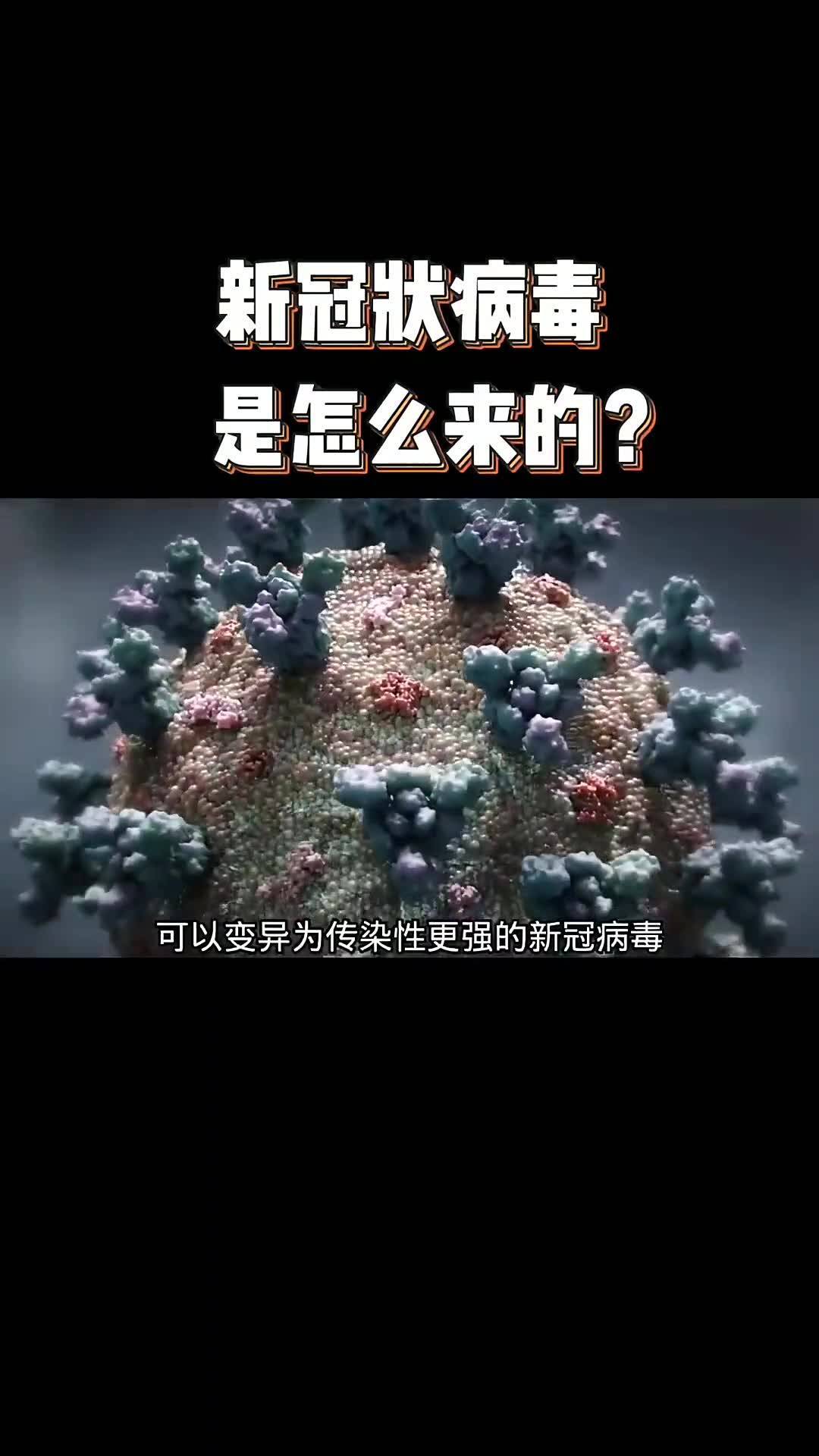 新冠病毒到底是怎么来的?