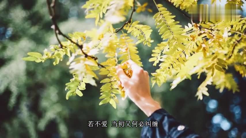 《不爱又何必纠缠》为什么你会离开 若不爱 当初又何必纠缠
