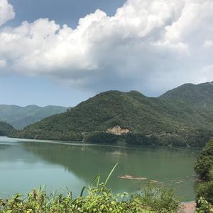 心简如素 
