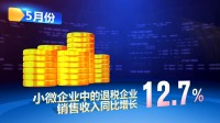 央视新闻联播 2022 大规模留抵退税政策效应正在显现