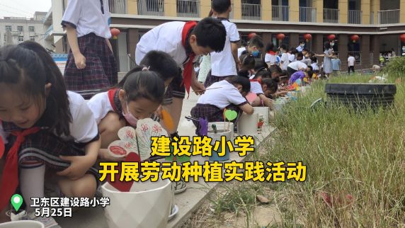 卫东区建设路小学组织学生开展劳动种植实践活动