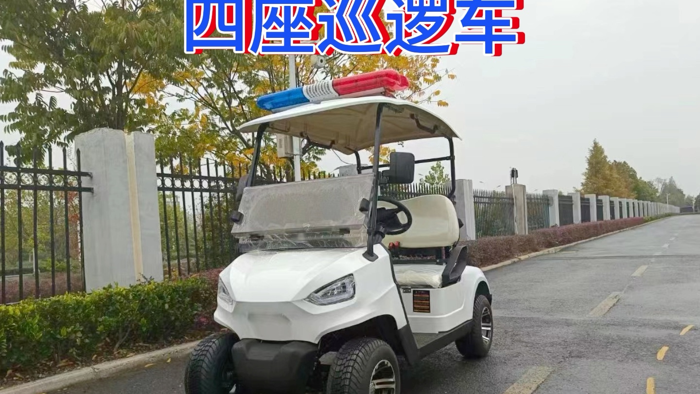 新能源巡逻车四轮电动车
