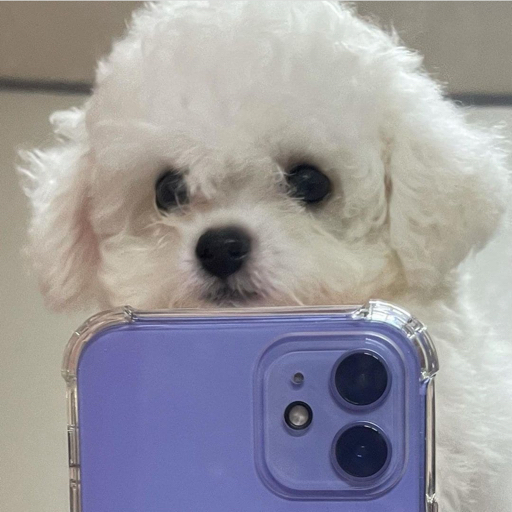 小兔子乖乖tuki 