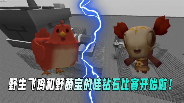 迷你世界:野生飞鸡和野萌宝挖钻石比赛开始,谁才是挖钻石能手
