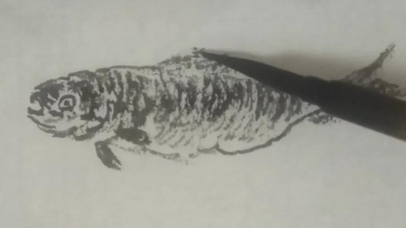 国画积墨法画水中游鱼,留白得当