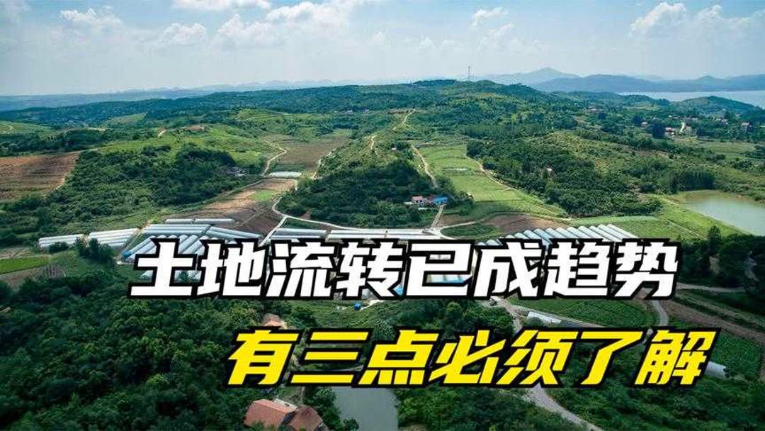 农村土地流转已成趋势,这3点要注意,免得吃亏。