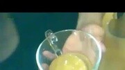 花式咖啡的做法视频_咖啡是用什么做的_在家怎么做花式咖啡