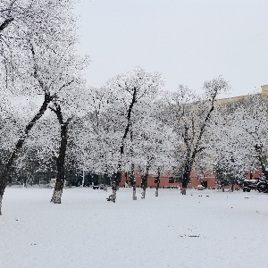 哈尔滨的于老师 