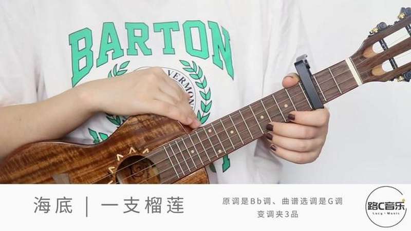 《海底》一支榴莲 尤克里里弹唱 路C音乐