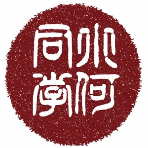 书生意气何同学 