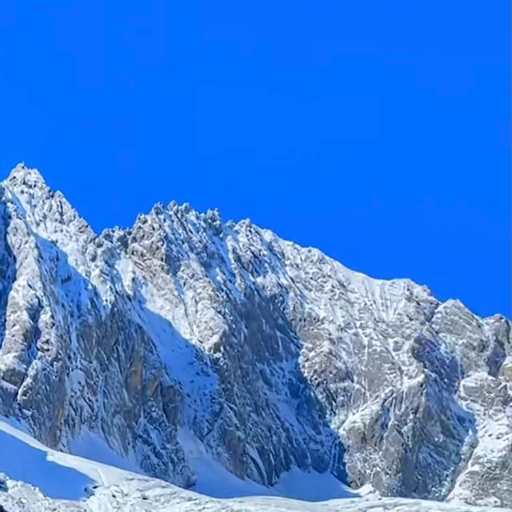 冯峰天天开心 