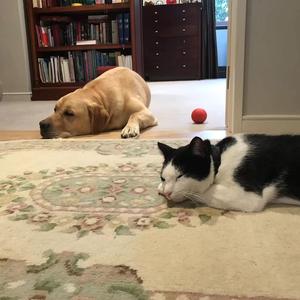 Coco姐的美好生活 