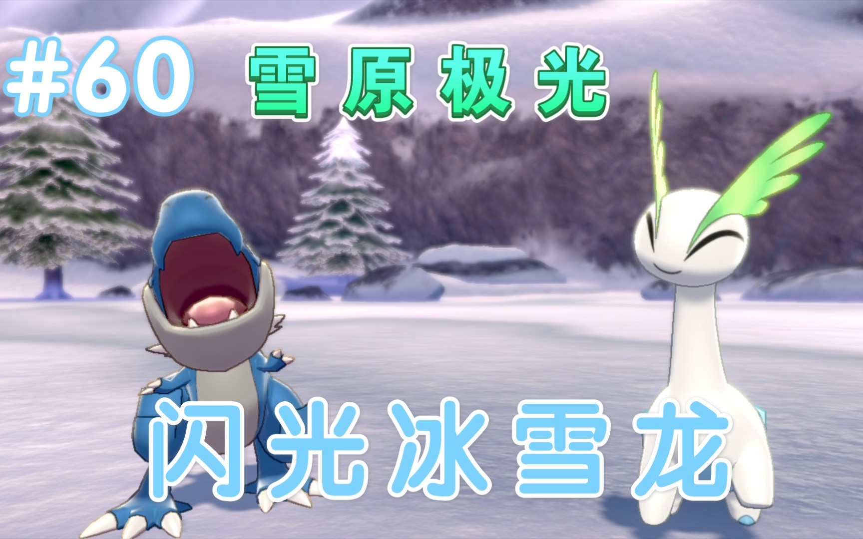 【Robinの刷闪】雪原极光~闪光冰雪龙get!《宝可梦剑盾》