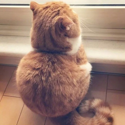 我就是来听歌的源氏 