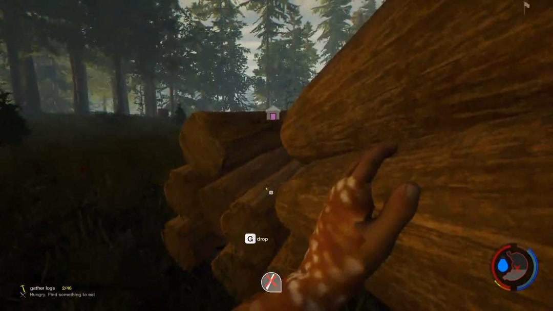 迷失森林求生:房子建好了,点个火,是时候找点野味了