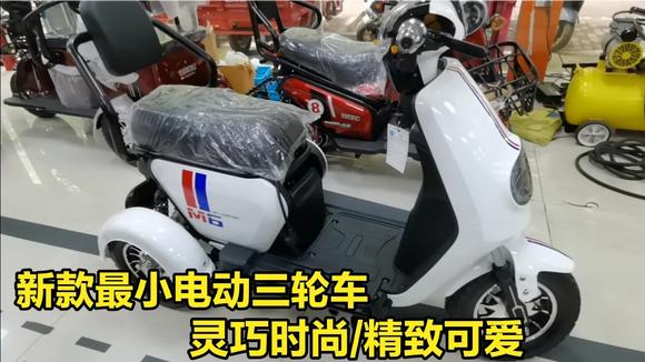 新款最小电动三轮车,老人代步年轻兜风炫丽车型,低至2500