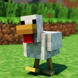 子鸡子鸡咯咯哒 