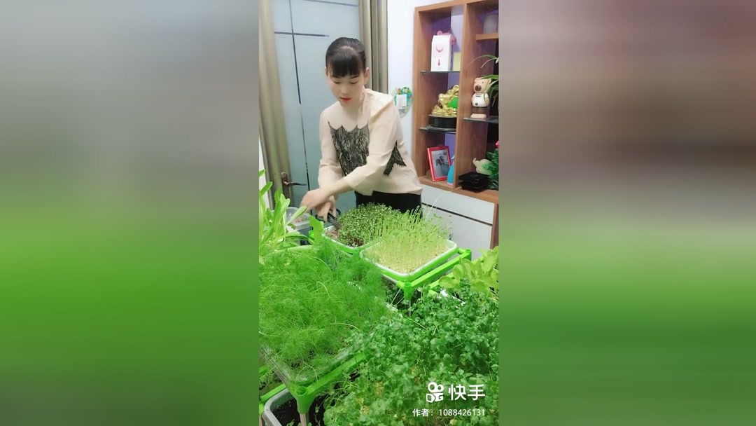 萝卜苗富含维生素c和微量元素锌,有助于提高体质的免疫功能,增加抗病...