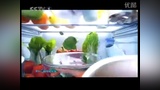 [广告][美的Midea凡帝罗欧式冰箱][2010新春清晰版]