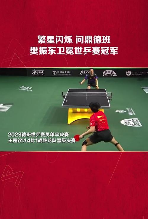 ...樊振东卫冕世乒赛冠军!#樊振东卫冕世乒赛冠军 #国乒男单十连冠 #...