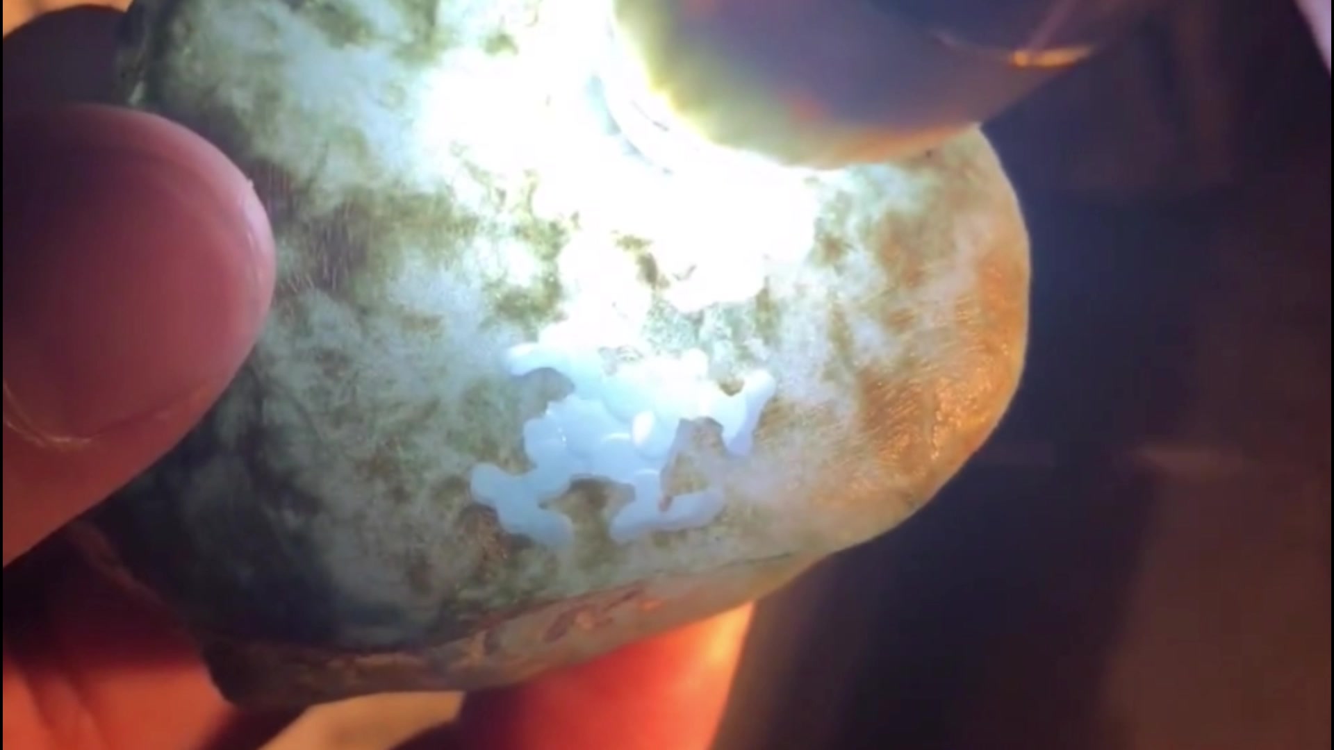 一块会卡敞口的翡翠原石,价值百数,开出冰种?