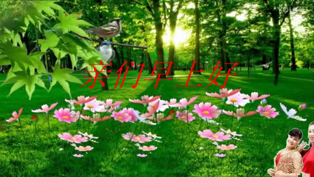 早上好表情照片