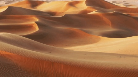 如果地球的沙漠都变成森林,会有什么后果?说出来你都不会相信