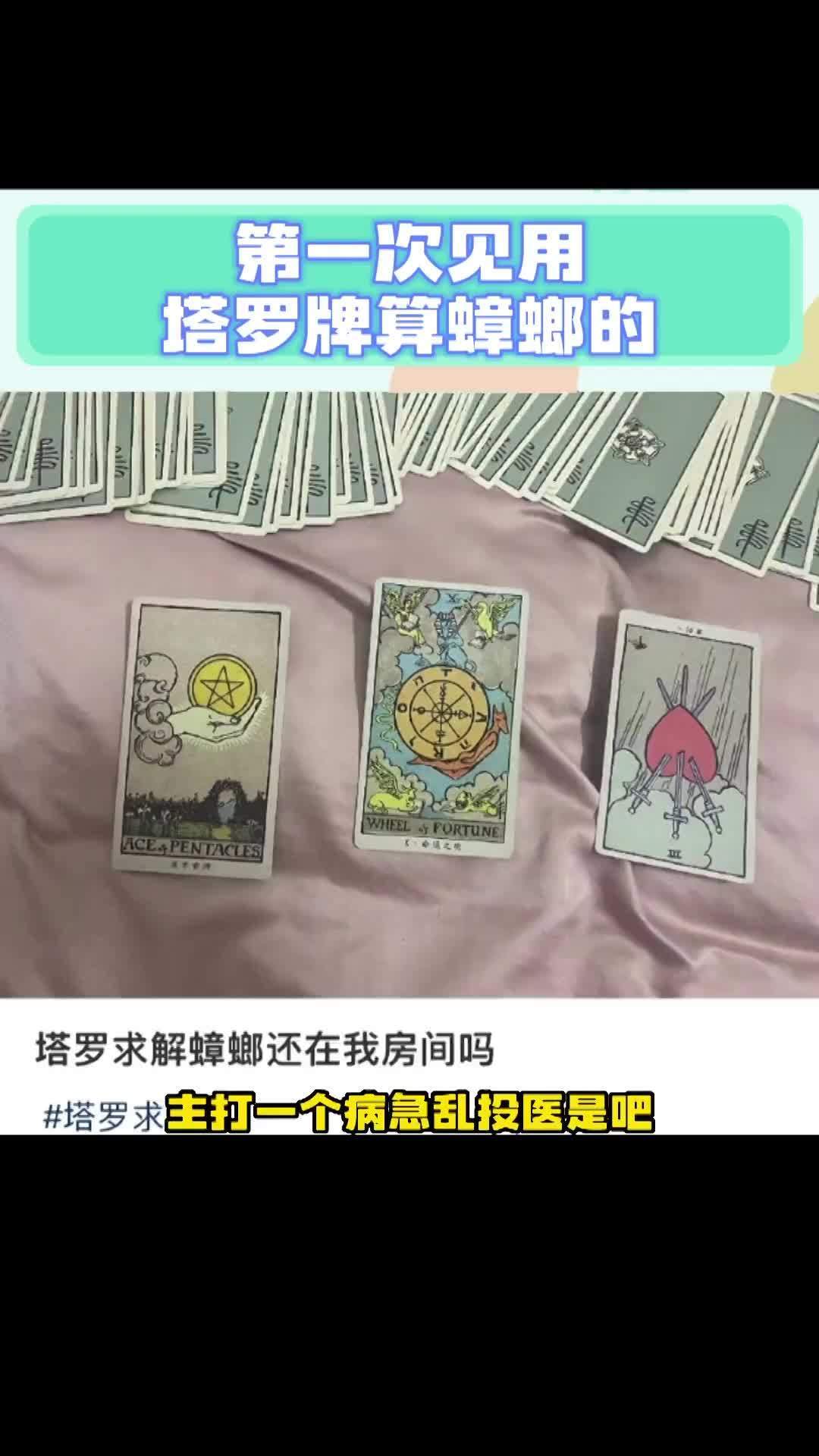 第一次见用塔罗牌算蟑螂的,属于是病急乱投医了蟑螂南方人广东蟑