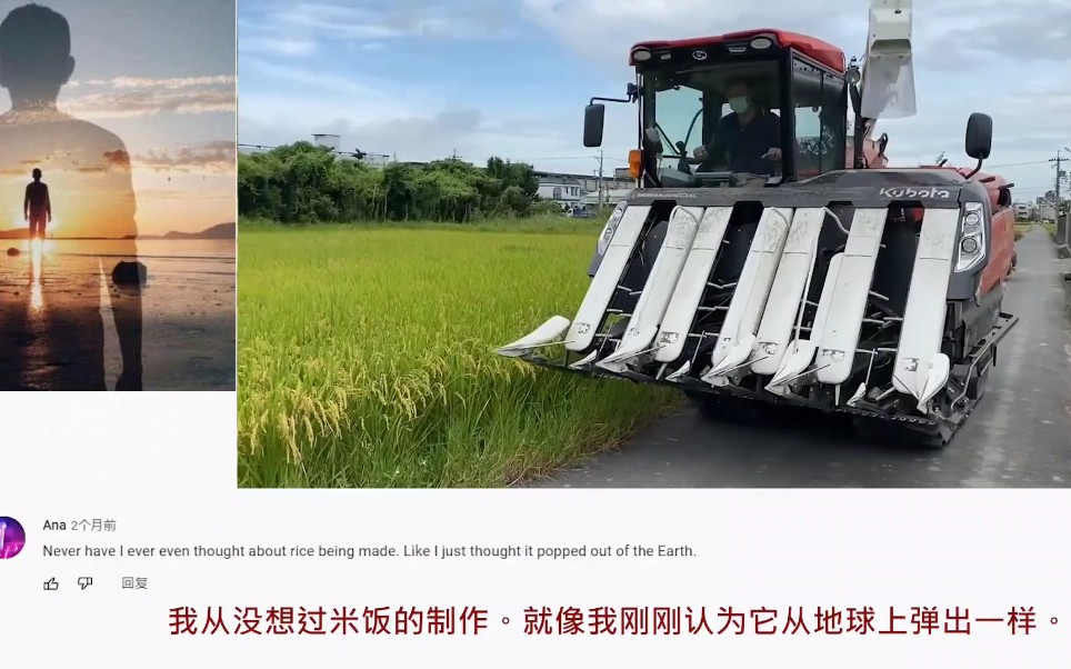 国外网友看中国种植稻谷变大米过程, 外国网友评论:没想到这么复杂,...