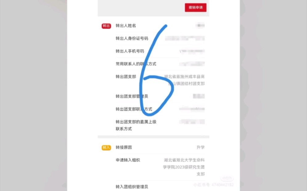 1分钟学会线上转团关系