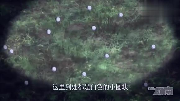 名侦探柯南:柯南平次理性分析案件