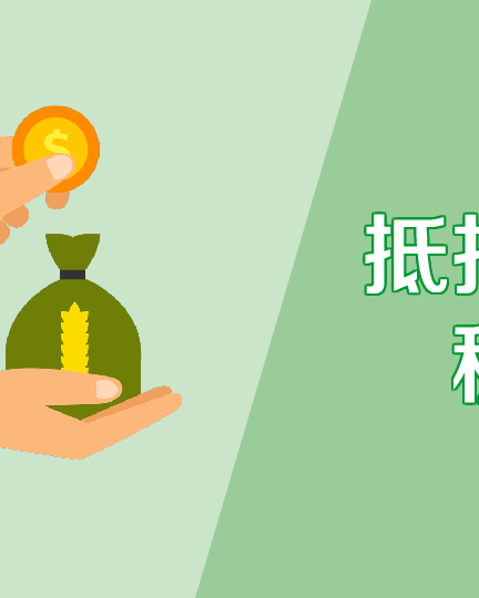 抵扣进项税额:简称进项税