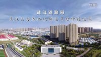 武汉铁路局武汉大型养路机械运用检修段纪实