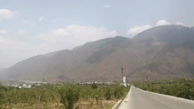 探秘云南"中国咖啡第一村"徒步3公里,沿线全是咖啡树