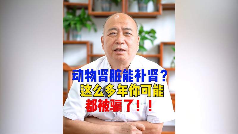 动物肾脏能补肾?这么多年你可能都被骗了