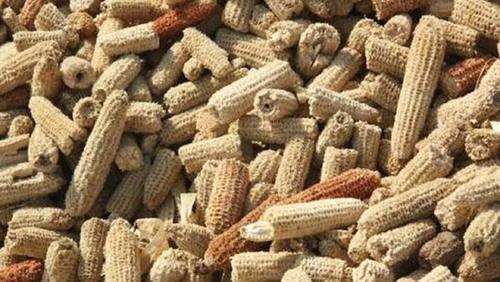 随手丢弃的玉米芯，竟然是个“宝”！活了半辈子才知道，别再扔了