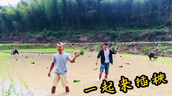 远离都市的几个年轻小伙儿,在大山里跟着农民伯伯种田插秧