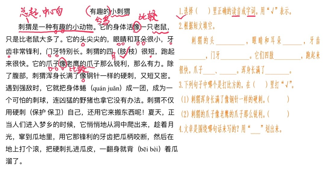 阅读与写作不分家,如何描写小动物,抓住特点,按照顺序写生动