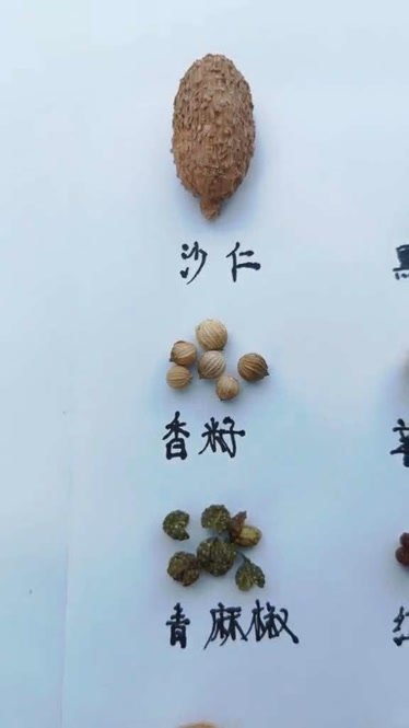 作为一名合格的厨师,首先要认识常用的调料