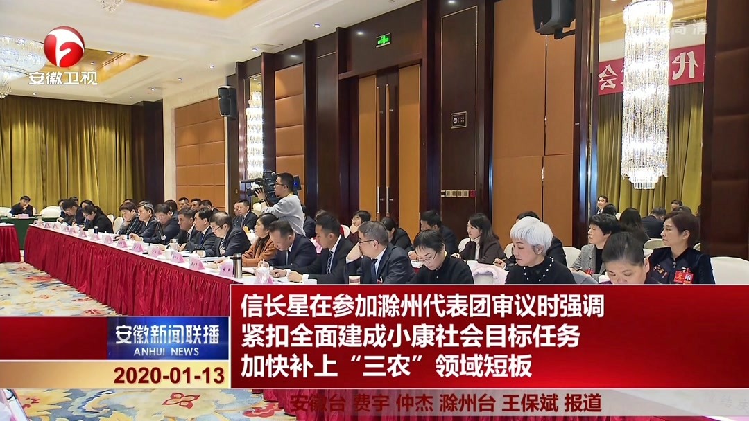 紧扣全面建成小康社会目标任务 加快补上“三农”领域短板