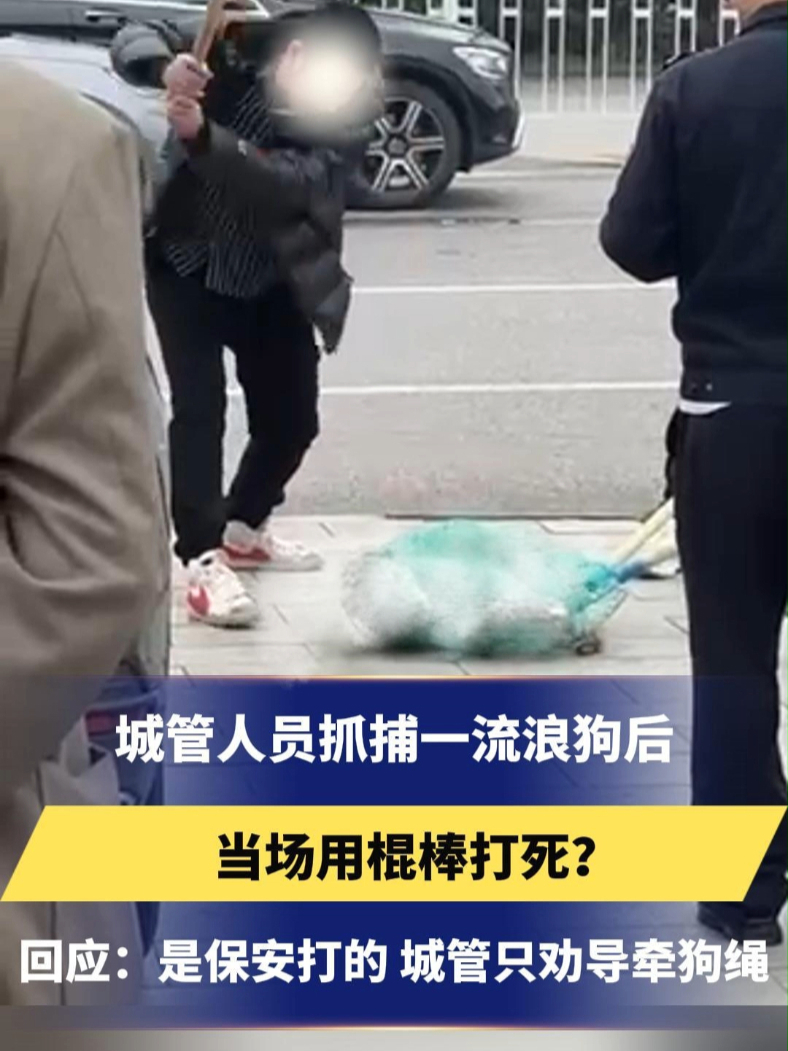 是保安打的城管只劝导牵狗绳