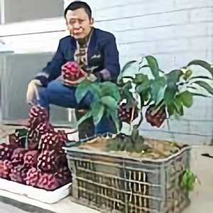 瑶峯黑老虎农场 