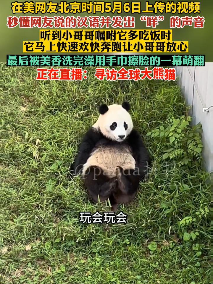 在美网友北京时间5月6日上传的视频:小奇迹秒懂汉语#美香一家