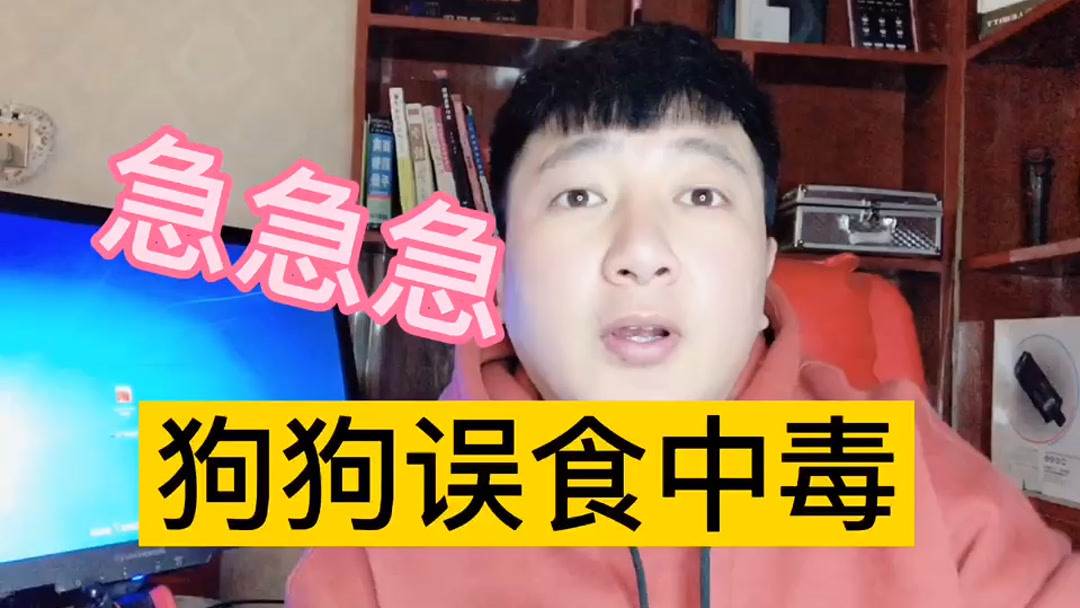 ,狗狗误食老鼠药中毒了咋办?救命