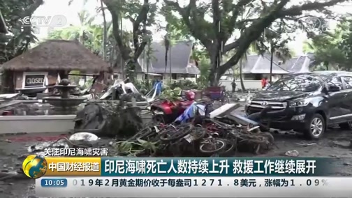 [中国财经报道]关注印尼海啸灾害 印尼海啸死亡人数持续上升 救援工作...