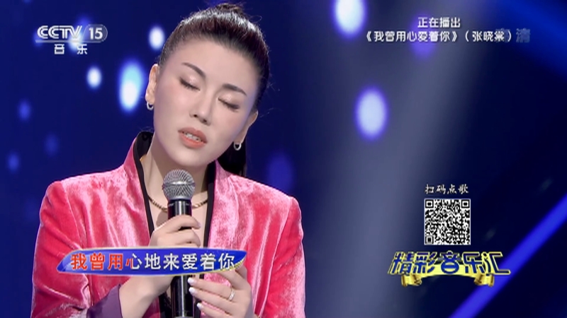 [精彩音乐汇]歌曲《我曾用心爱着你》 演唱:张晓棠
