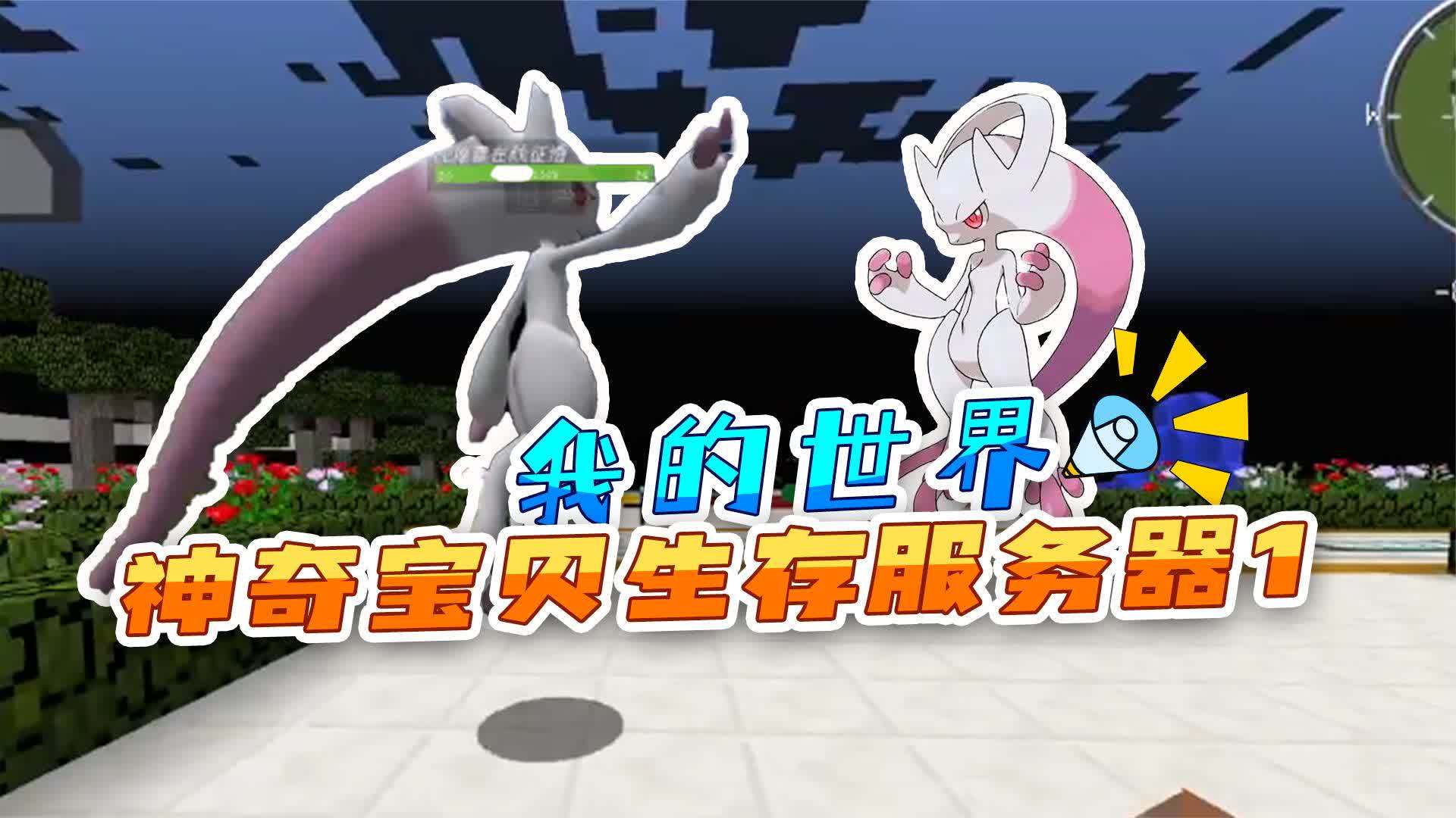 我的世界:宝可梦服务生存器1,居然可以采树果