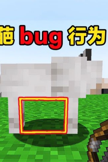我的世界:MC有哪些奇葩bug?震惊玩家!